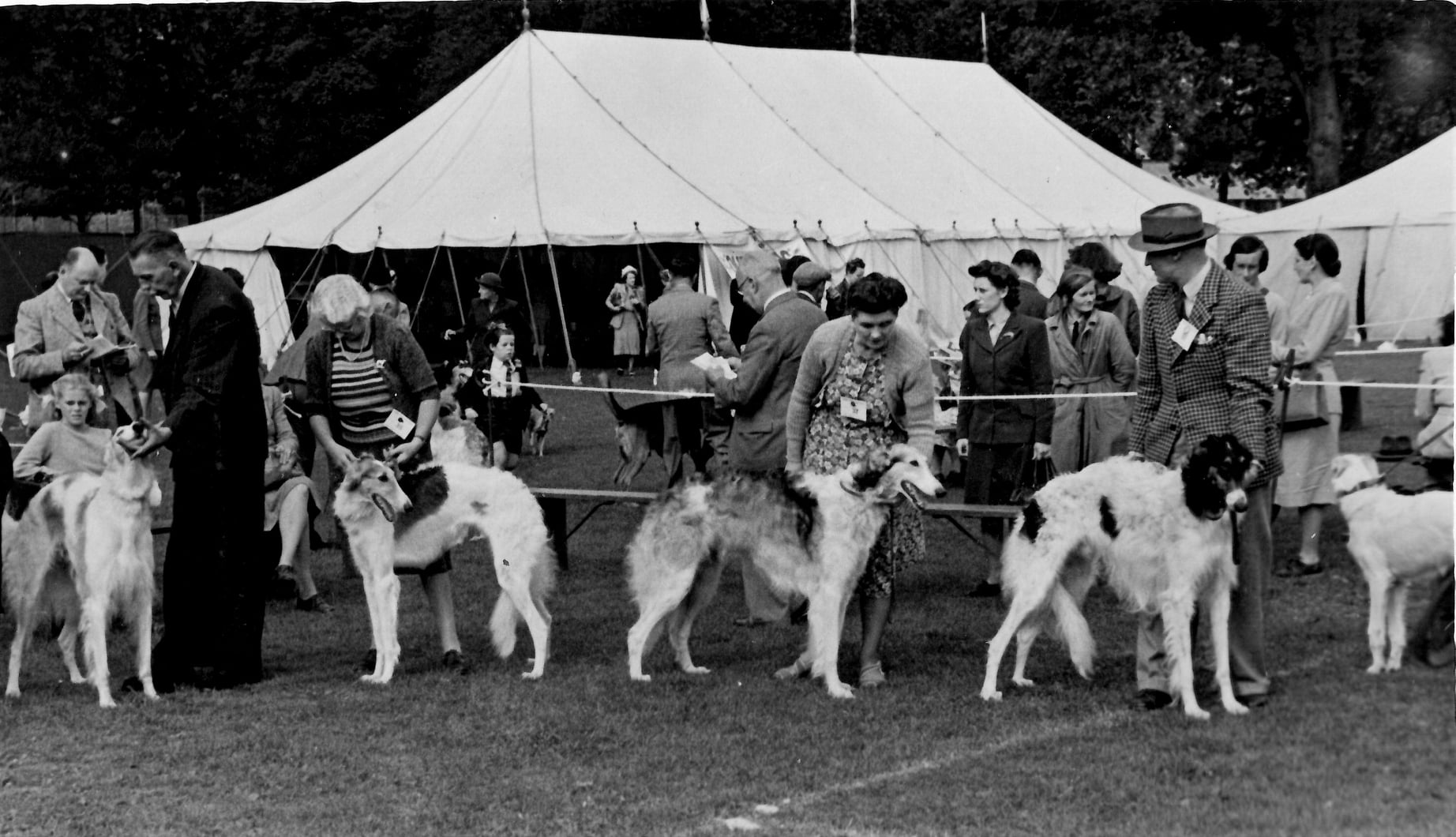 British Borzoi Shows in Photos (1948) - The Borzoï Encyclopedia
