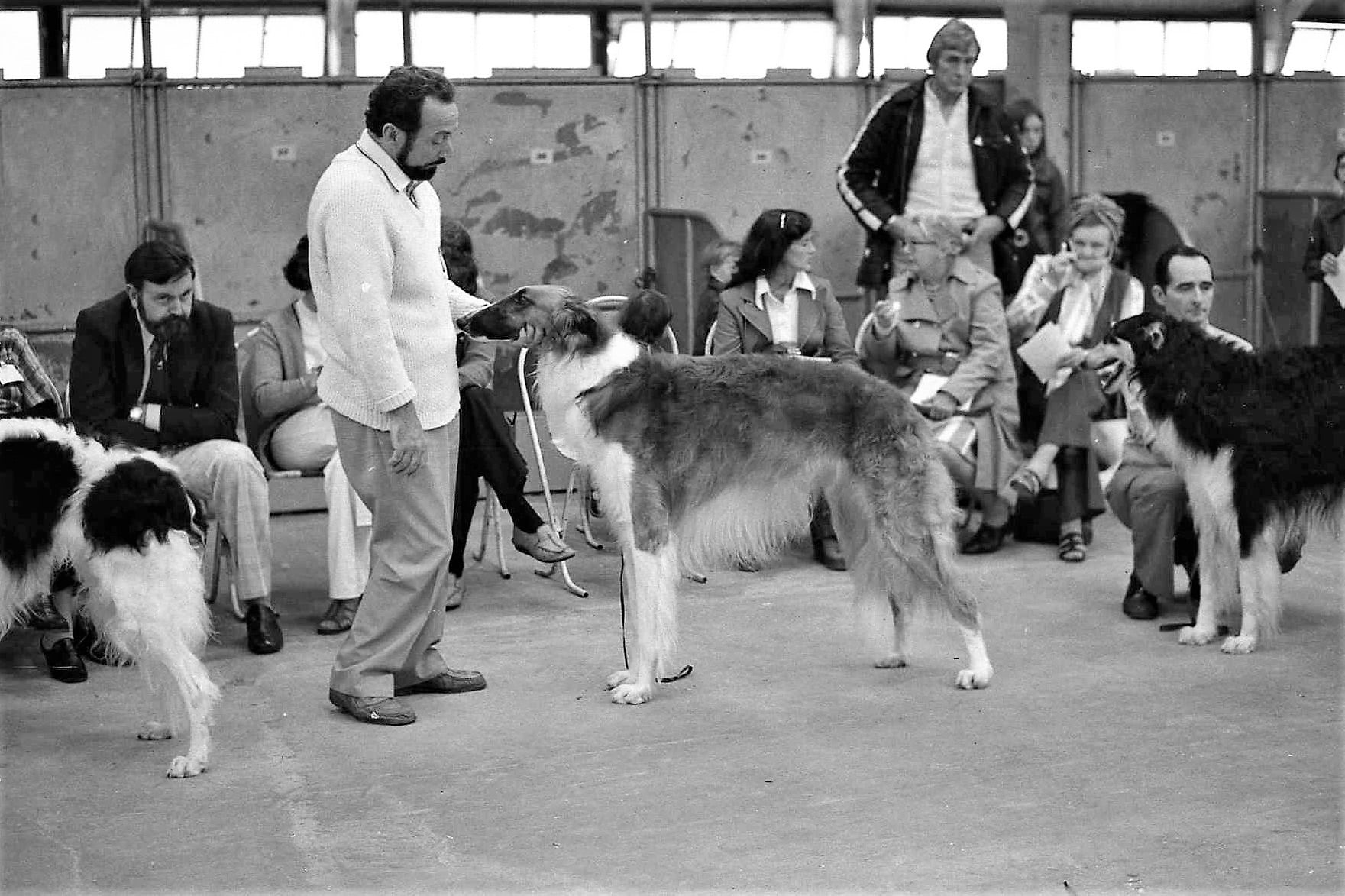 British Borzoi Shows in Photos (1977) - The Borzoï Encyclopedia