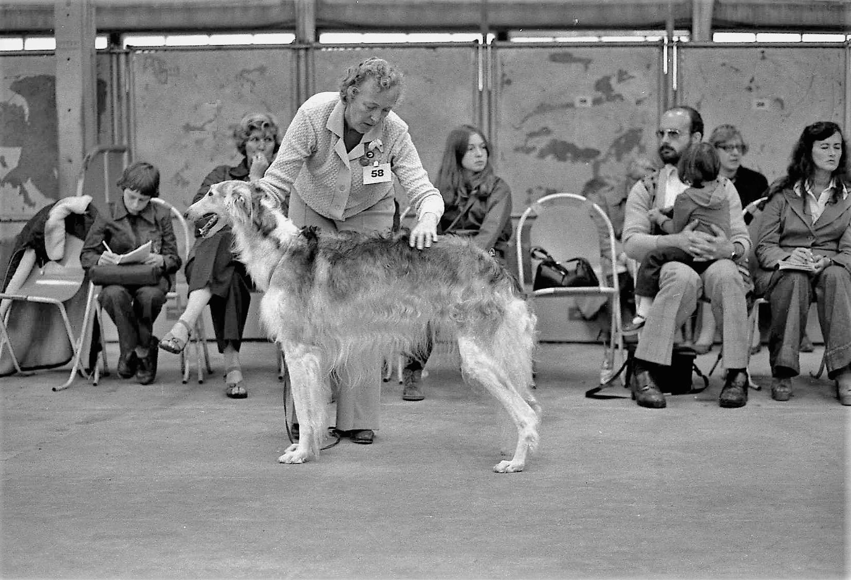 British Borzoi Shows in Photos (1977) - The Borzoï Encyclopedia