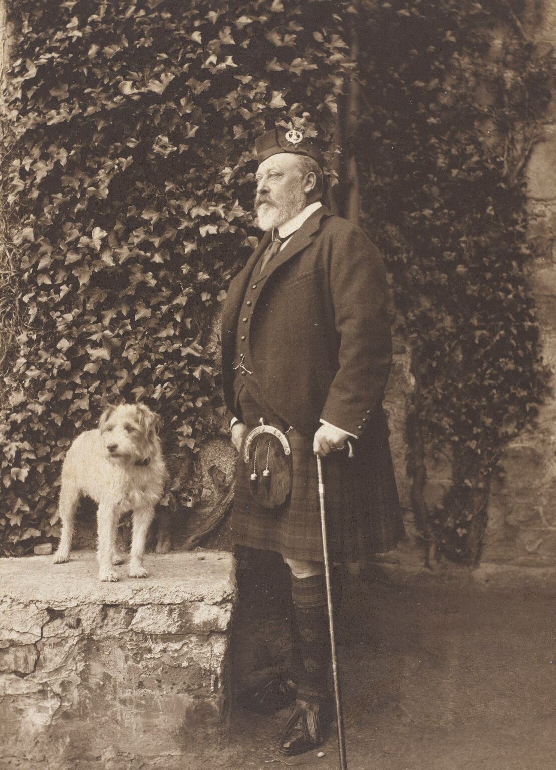 "Of Notts Kennels by Her Grace, Duchess of Newcastle" - The Borzoï ...