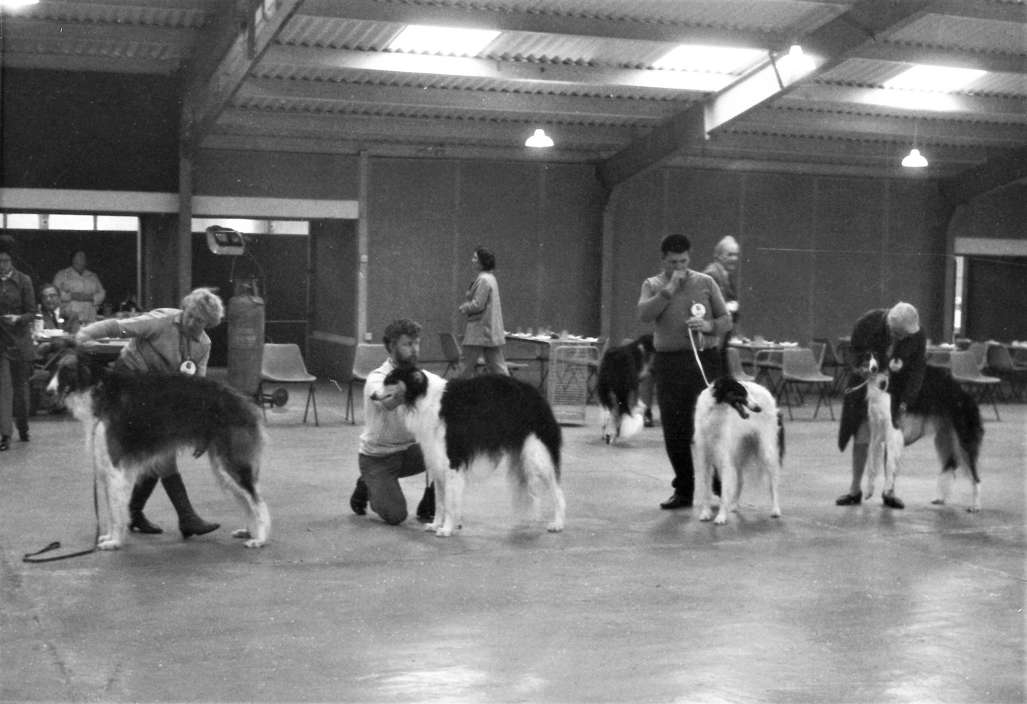BRITISH BORZOI SHOWS IN PHOTOS (1971) - The Borzoï Encyclopedia