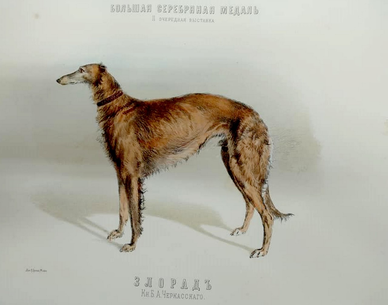 L. P. Sabaneev on the borzoi - The Borzoï Encyclopedia
