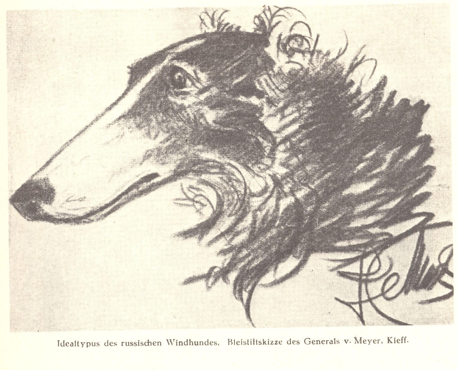 Remarks on the borzoi awards in Kassel by General Georgi K von Meyer ...