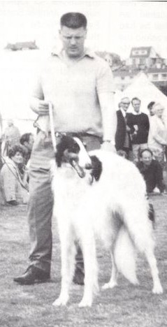 Robin Searle of Francehill - The Borzoï Encyclopedia