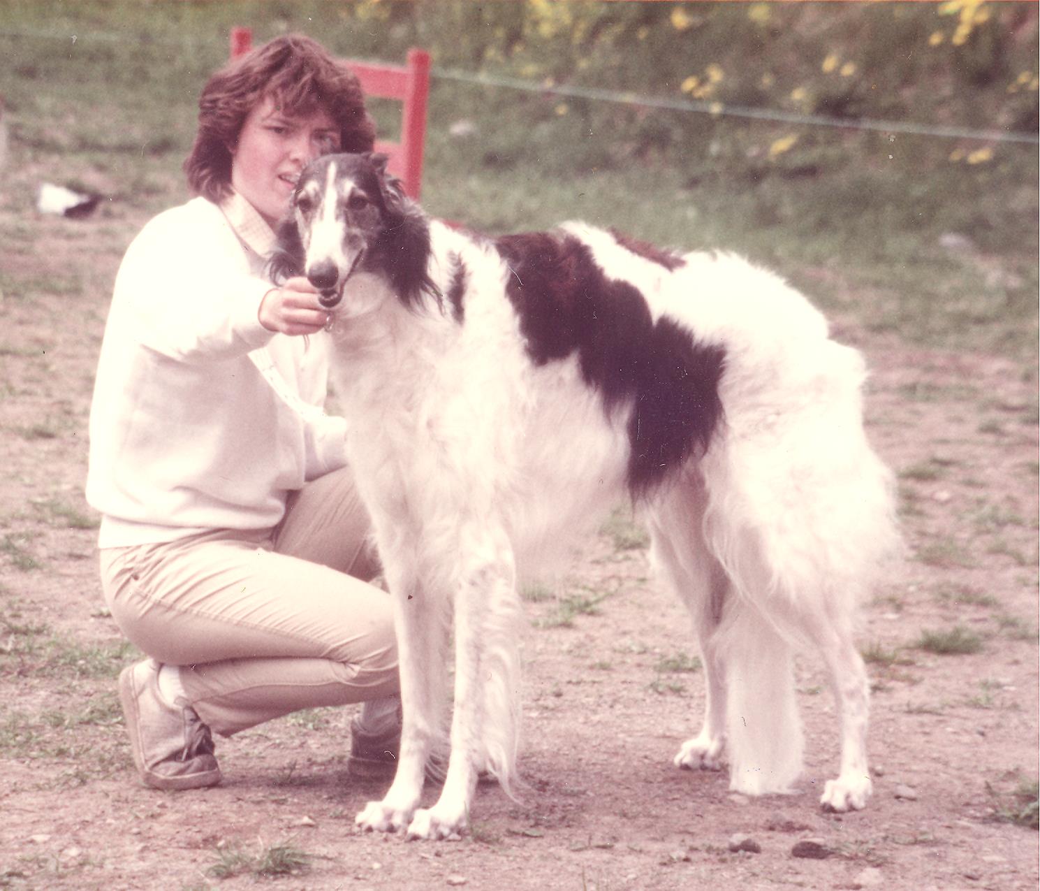 Observations on Borzois over the years - The Borzoï Encyclopedia